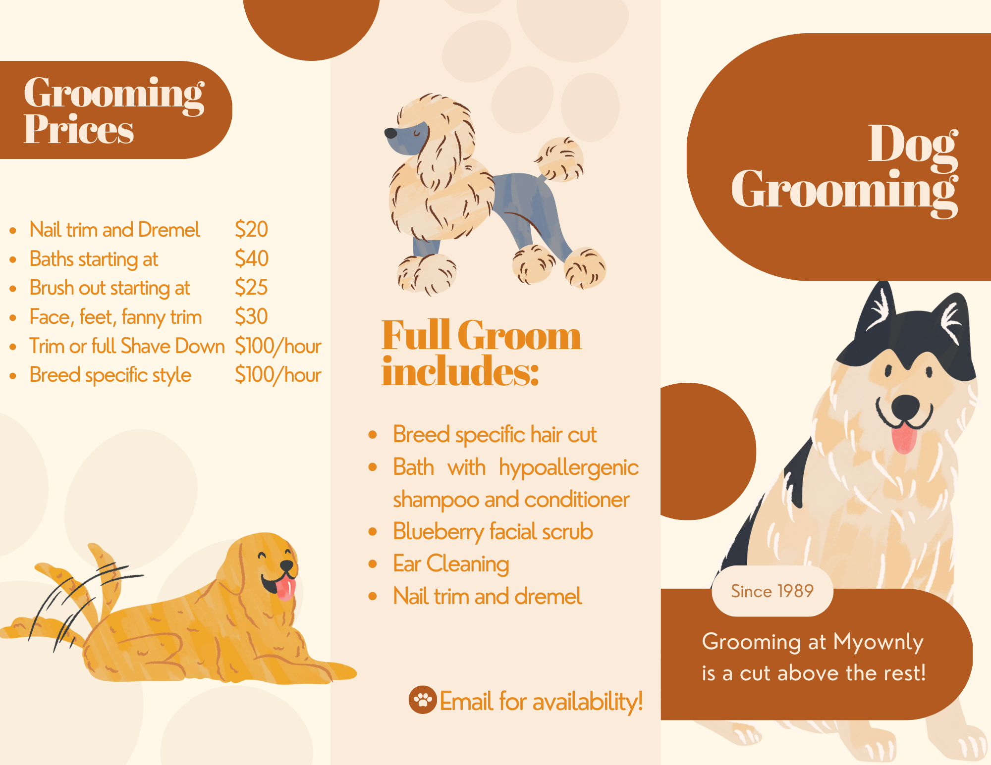 Dog bathing, grooming, and more
